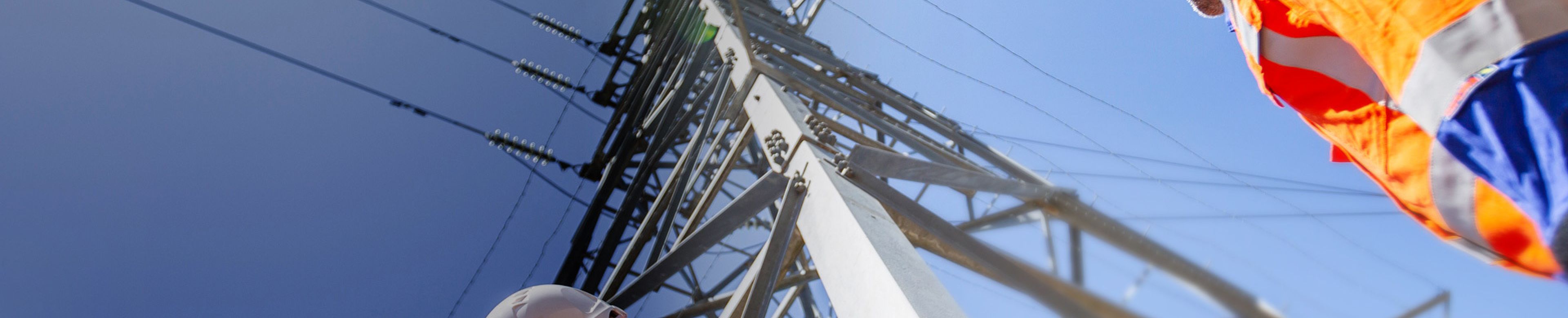 About us - Edison Consulting Group Limited