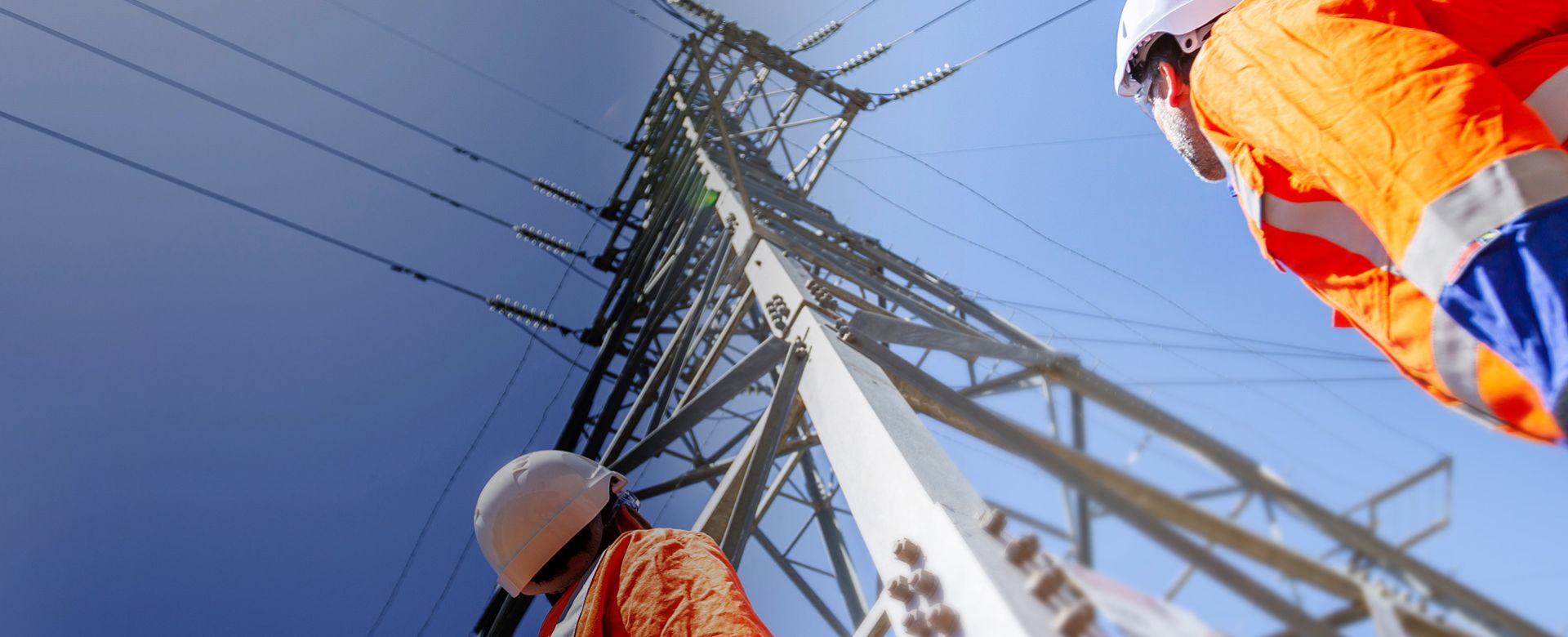 About us - Edison Consulting Group Limited