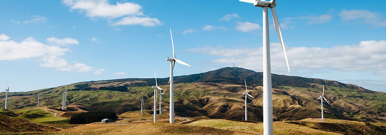 Te Uku Wind Farm Transmission Line Build - Edison Consulting Group Limited