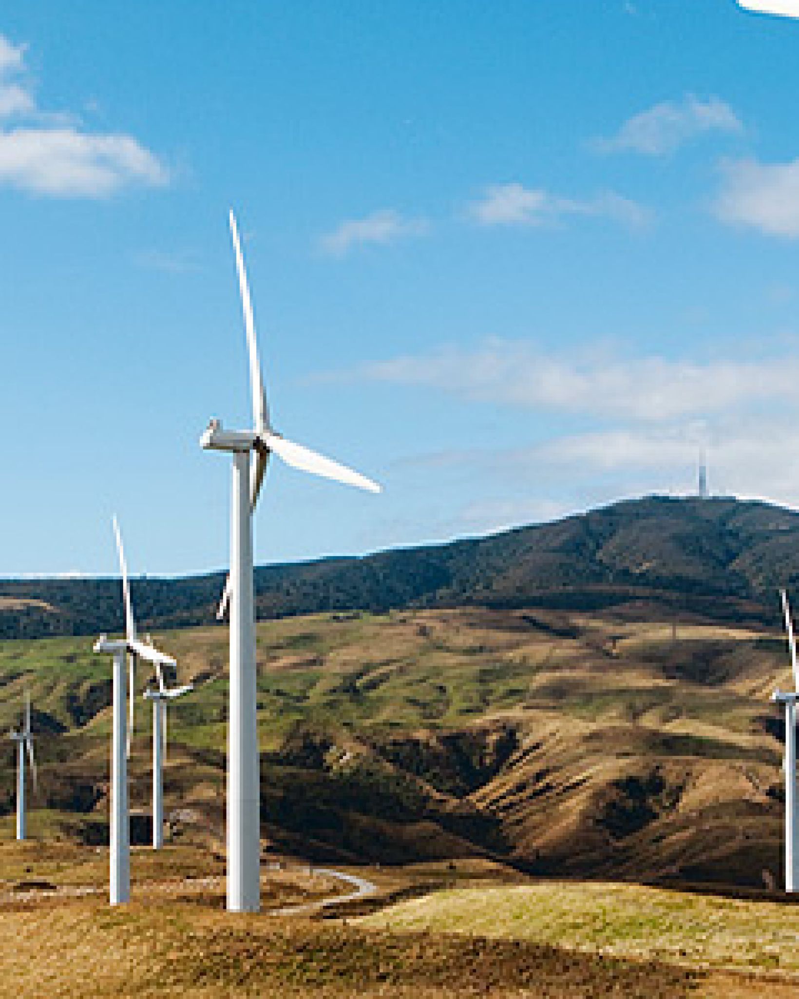 Te Uku Wind Farm Transmission Line Build - Edison Consulting Group Limited