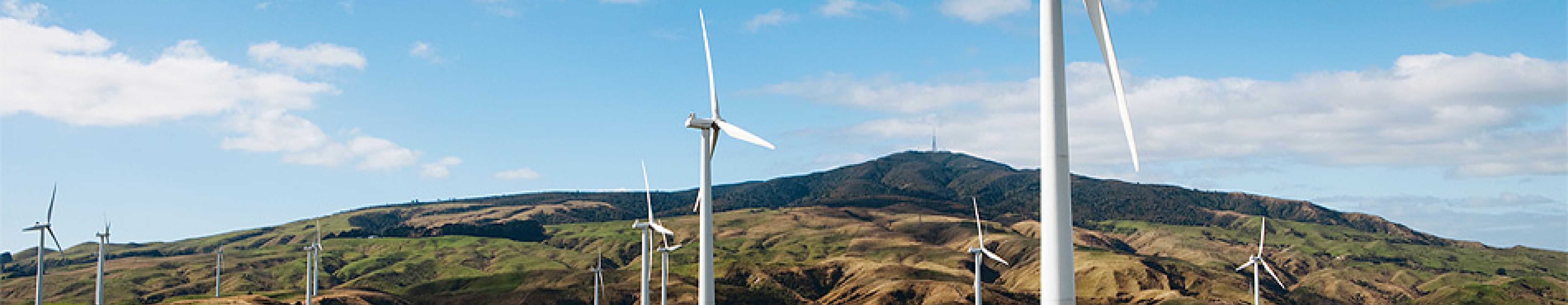 Te Uku Wind Farm Transmission Line Build - Edison Consulting Group Limited