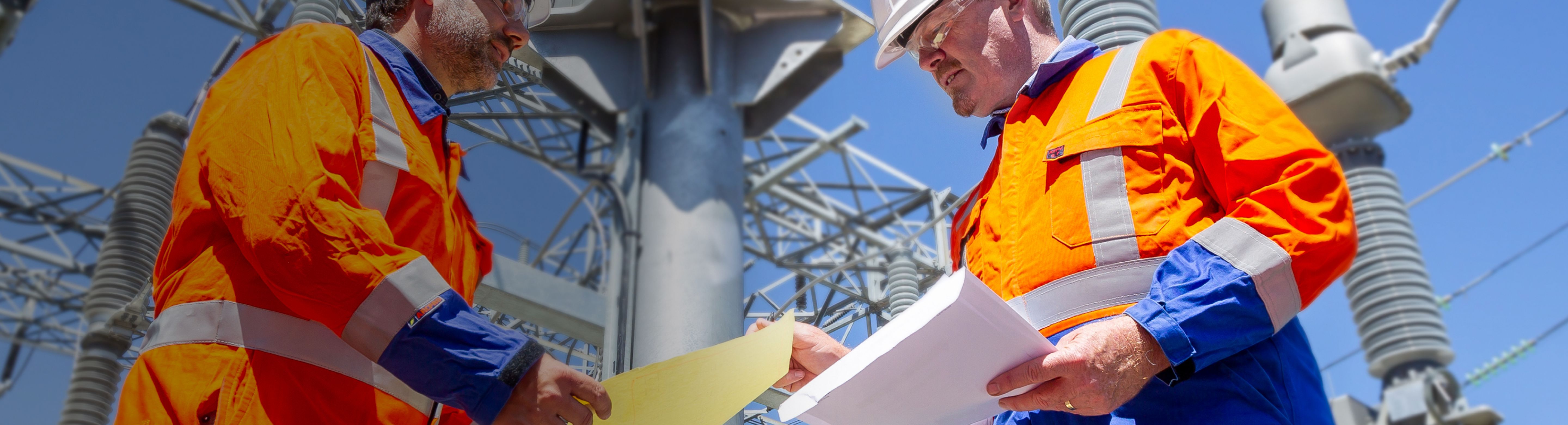 What we do - Edison Consulting Group Limited