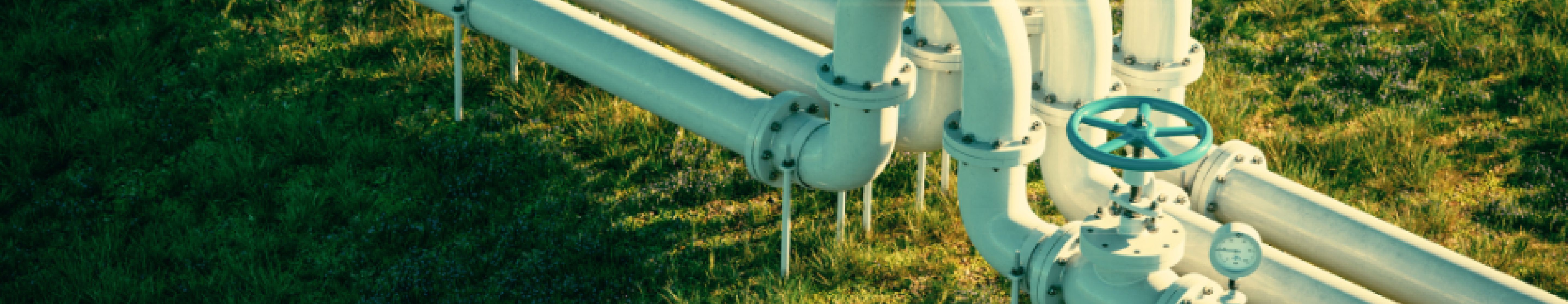 A Safe and Innovative Hydrogen Storage Solution for NZ’s First Green ...