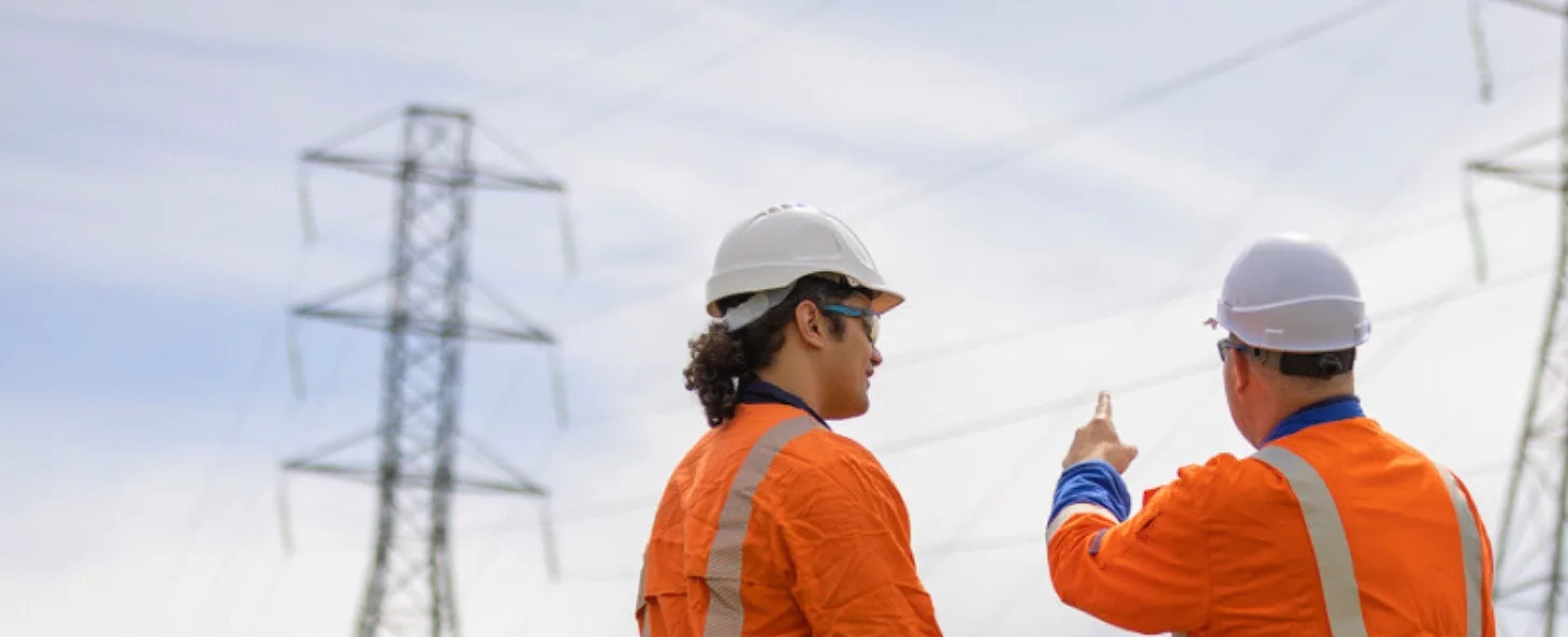 What we do - Edison Consulting Group Limited