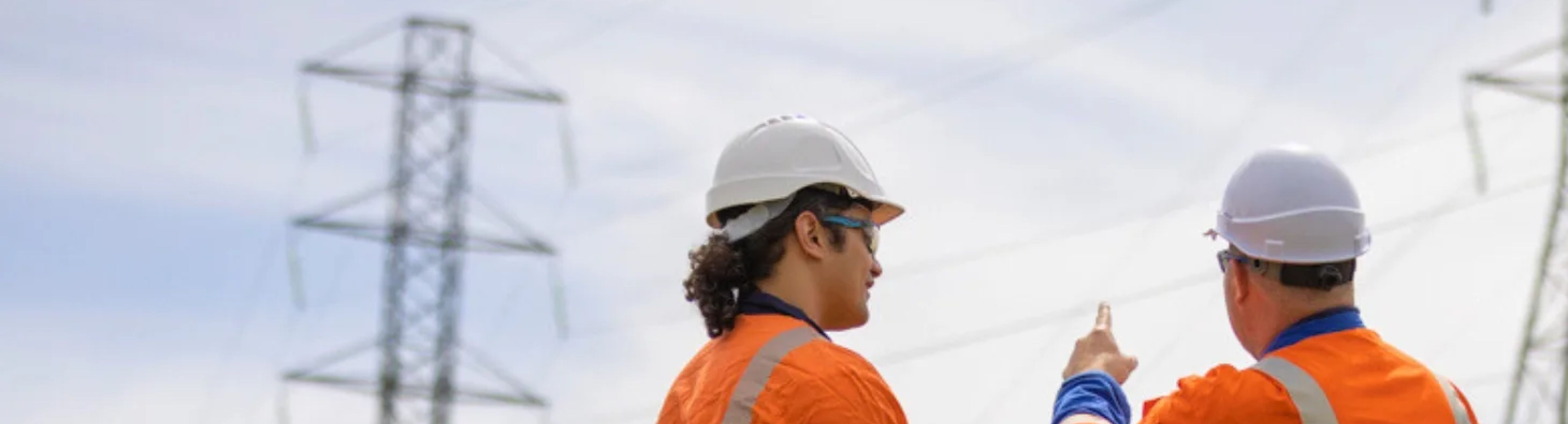 What we do - Edison Consulting Group Limited