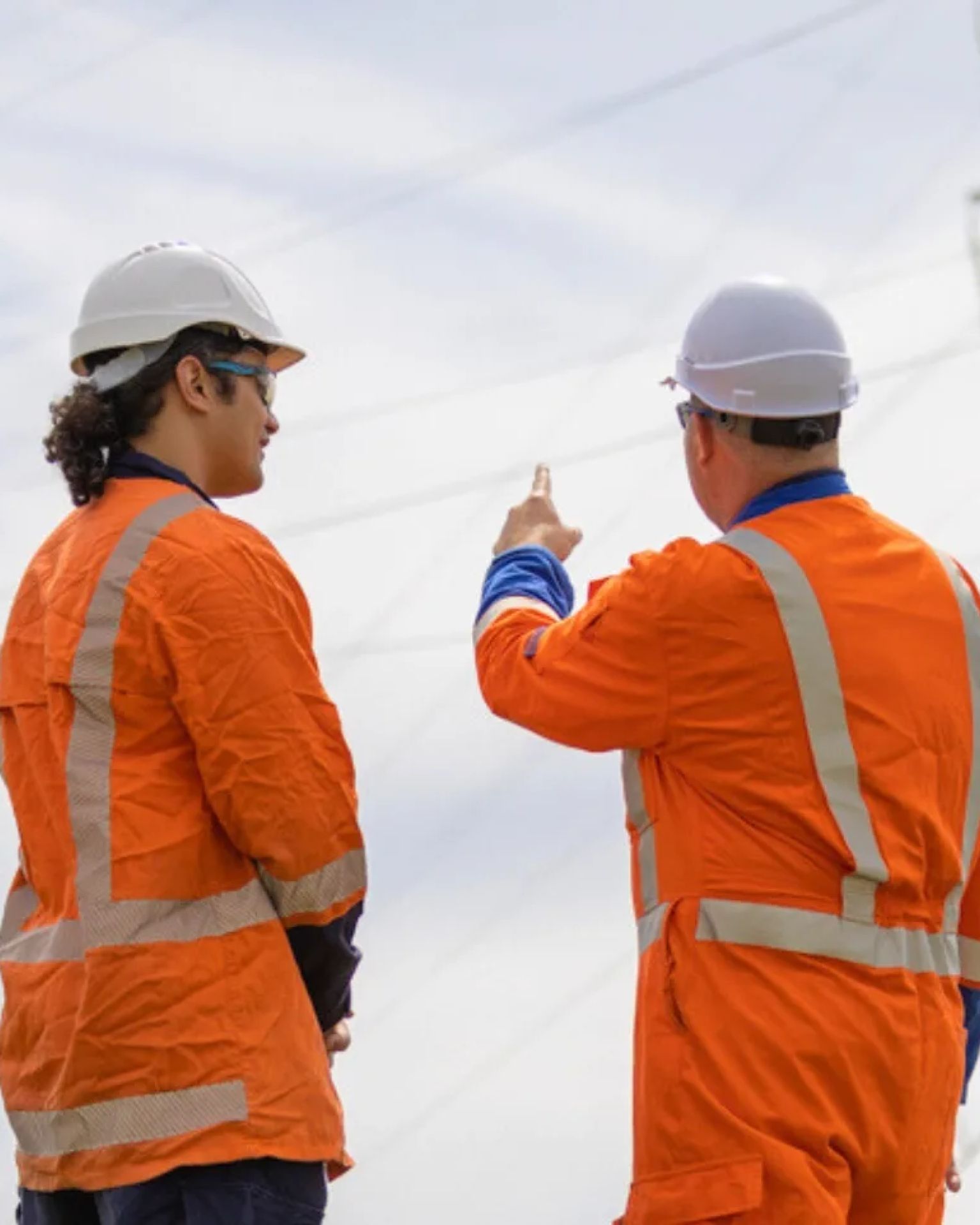 What we do - Edison Consulting Group Limited